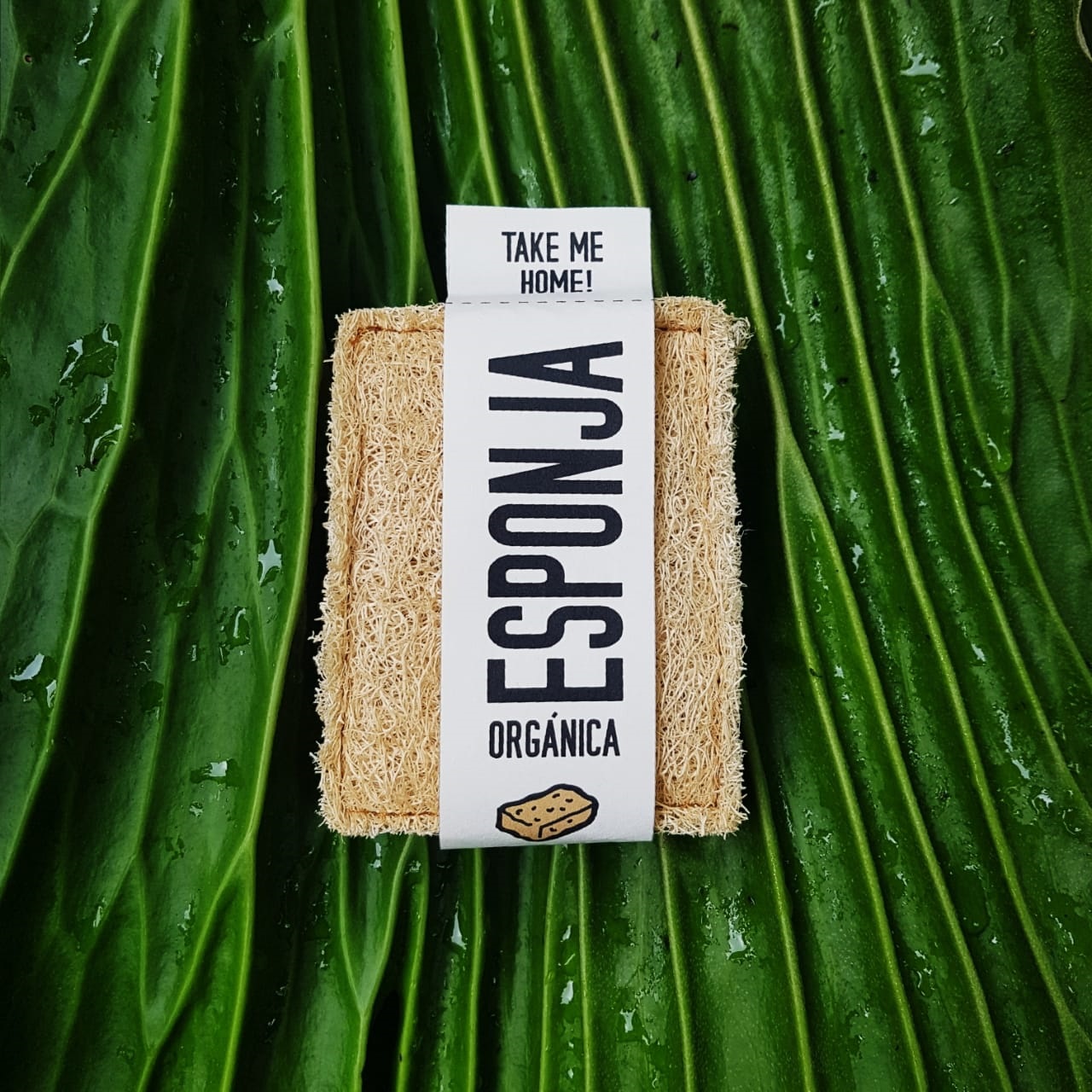 ESPONJA ORGÁNICA | Productos Sostenibles - BIO-Degradables